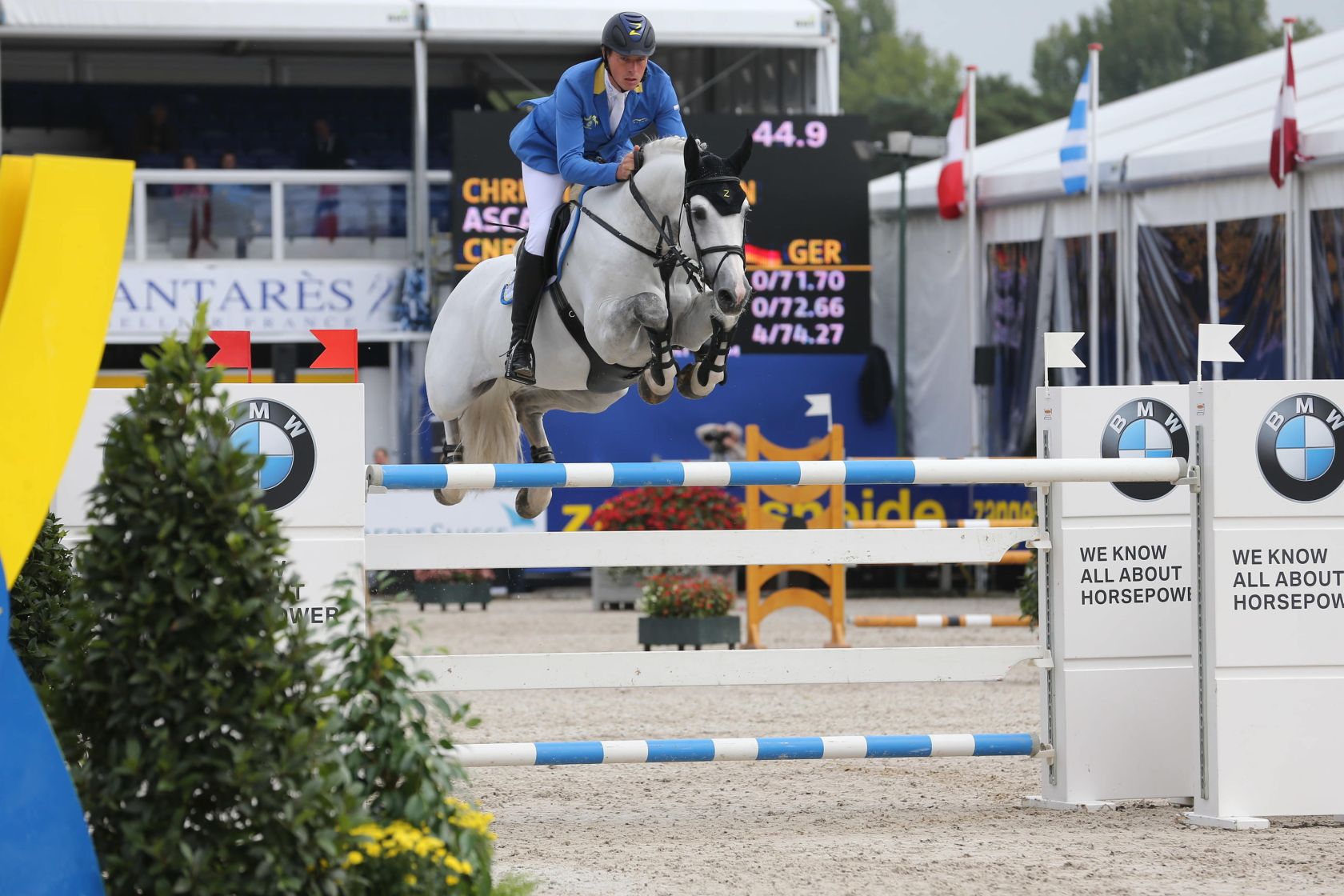 ASCA Z - OPVALLEND VEEL INZET! | Stoeterij Zangersheide